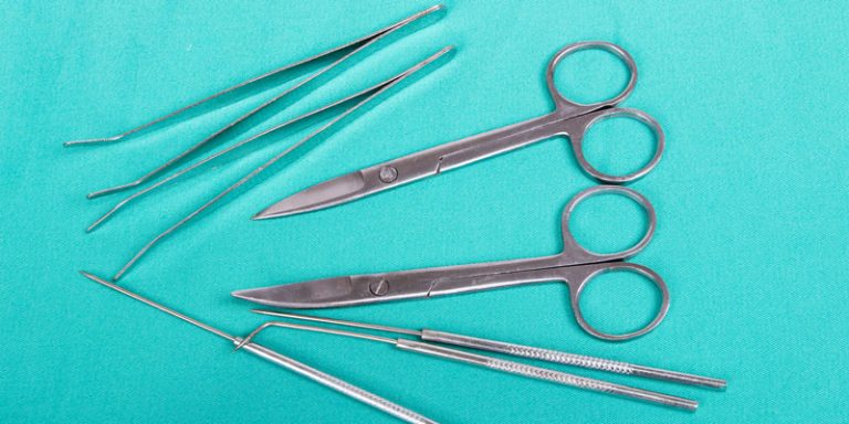 Fetal Pig Dissection – STEM Wonders